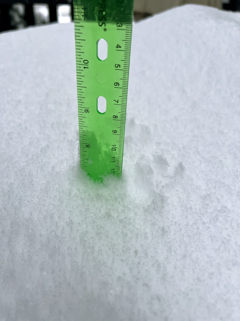 Staying Warm in Winter Weather: A Formula – Imaginary Gardens